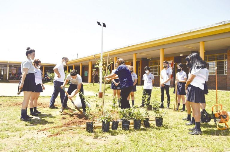 Alumnos del BOP 61 arborizaron el espacio escolar | EL TERRITORIO noticias de Misiones