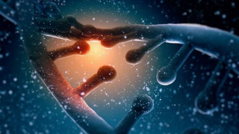 Científicos argentinos descubrieron algo clave en el desarrollo ...