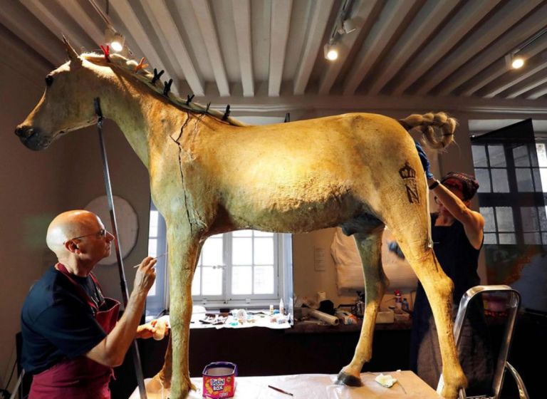 El caballo napoleónico | EL TERRITORIO noticias de Misiones