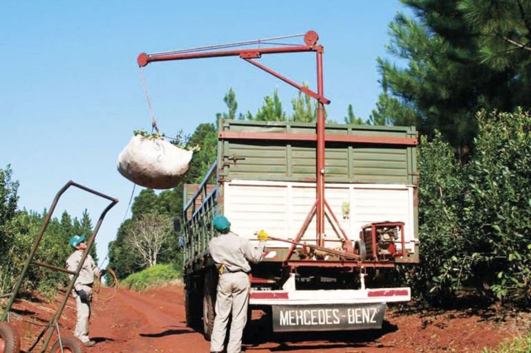 Más de 200 guinches para optimizar las cosechas | El Territorio