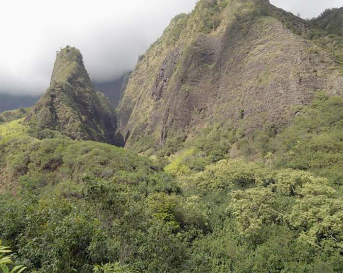 Mirá cuáles son los lugares más húmedos del planeta | EL TERRITORIO ...
