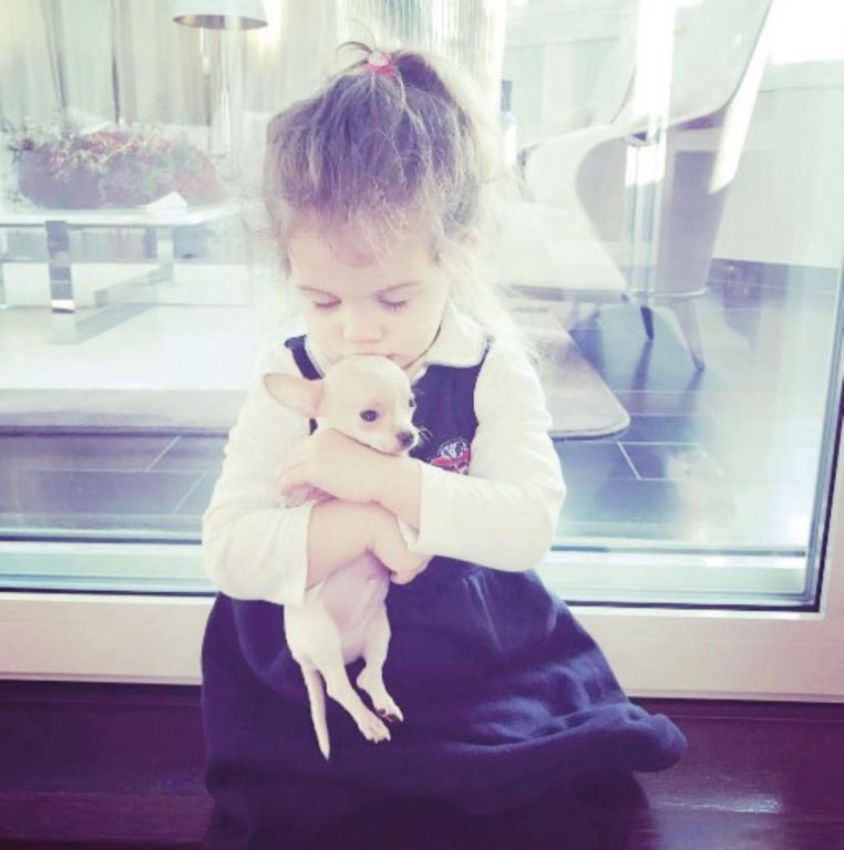 La tierna imagen que se volvió viral | EL TERRITORIO noticias de Misiones