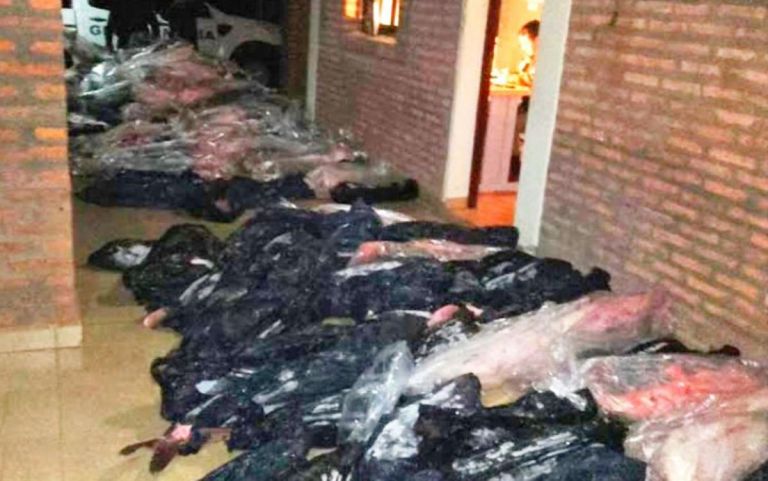 Incautan 241 surubíes en Corrientes que tenían destino Puerto Iguazú ...