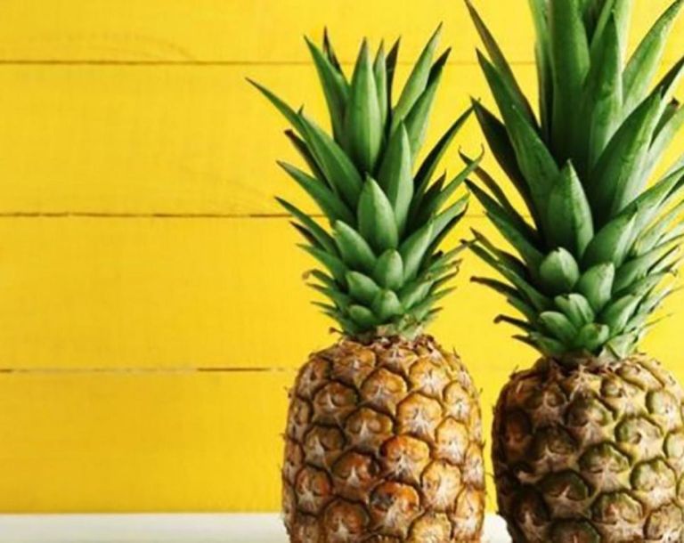 Conocé los diez beneficios de comer ananá | EL TERRITORIO noticias de ...