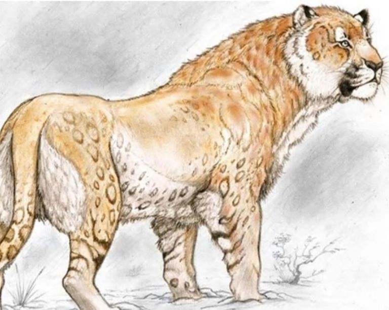 Confirman que el león americano habitó la Patagonia | El Territorio