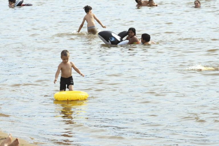 Registran picadura de rayas en playas de Posadas | EL TERRITORIO ...