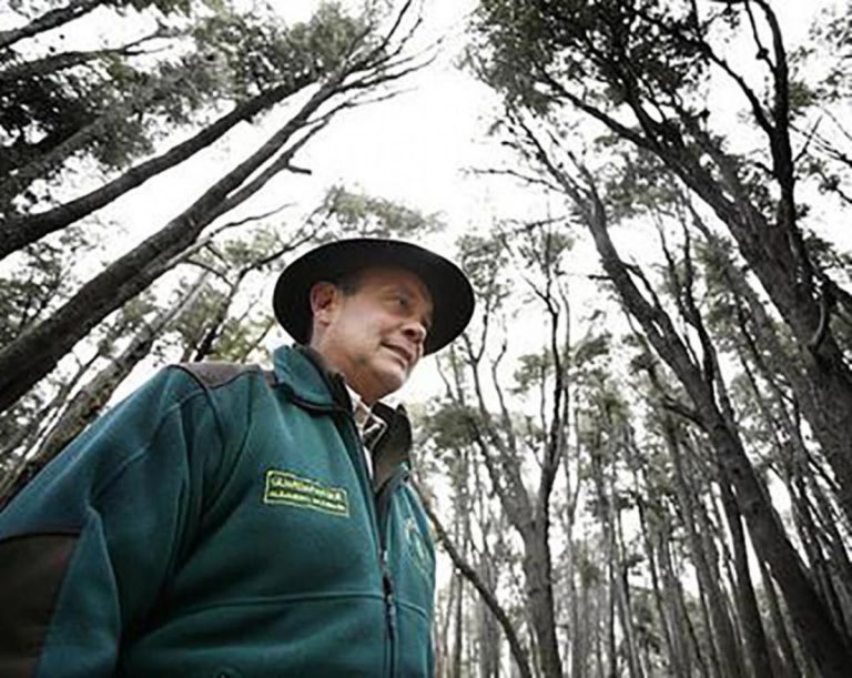 Un día como hoy... Día del Guardabosque Nacional | EL TERRITORIO ...