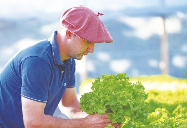 Volvió a la chacra para apostar al cultivo con nuevas tecnologías | EL ...