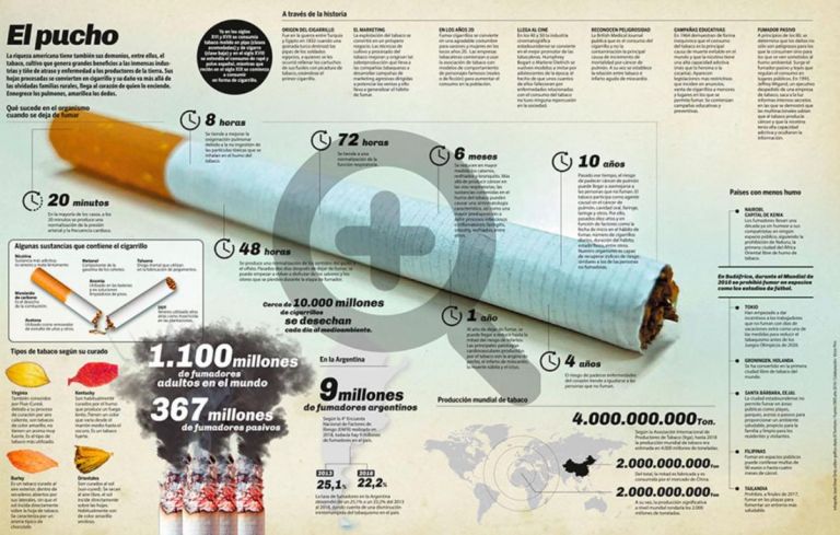 Infografía: El pucho | EL TERRITORIO noticias de Misiones