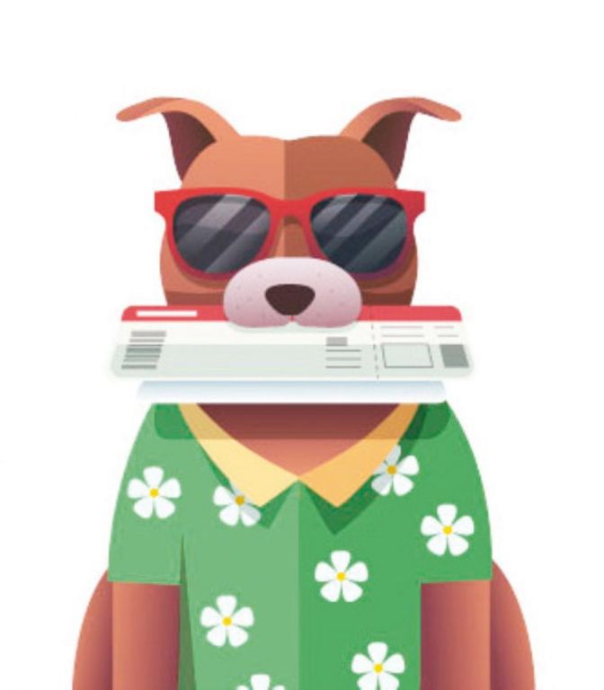 Perro veraniego | El Territorio