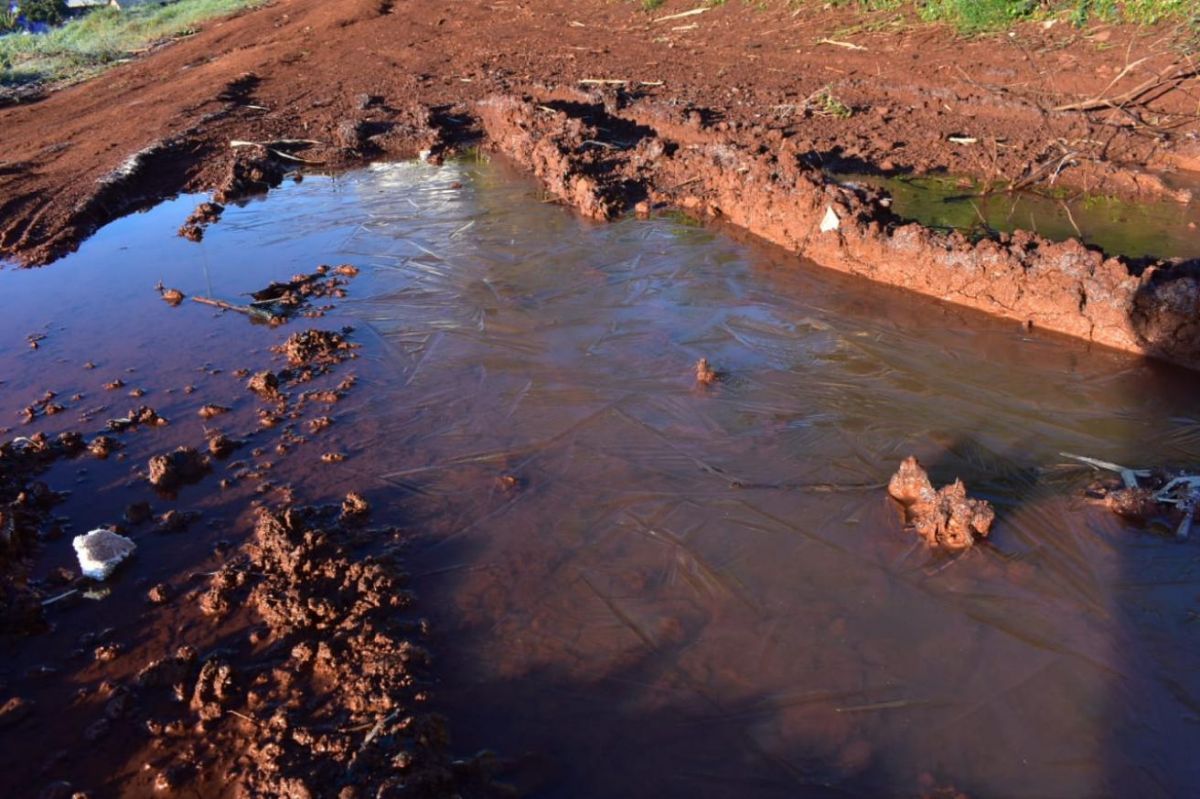 Intensa helada negra en distintos puntos de la provincia con ...