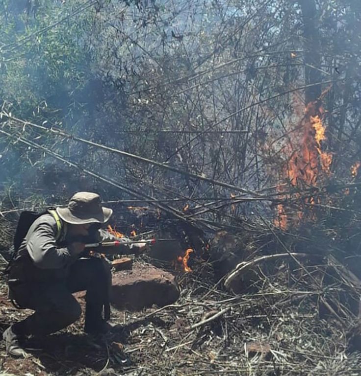 Incendios Forestales Amenazan Zonas Urbanas Y Aldeas Y Encaran
